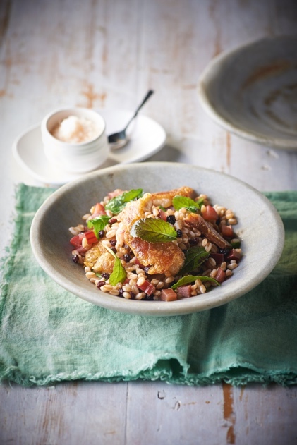 Portfolio – Kate Murdoch